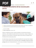 Pfizer Vanguard SP Final | PDF | Vacunas | Virus