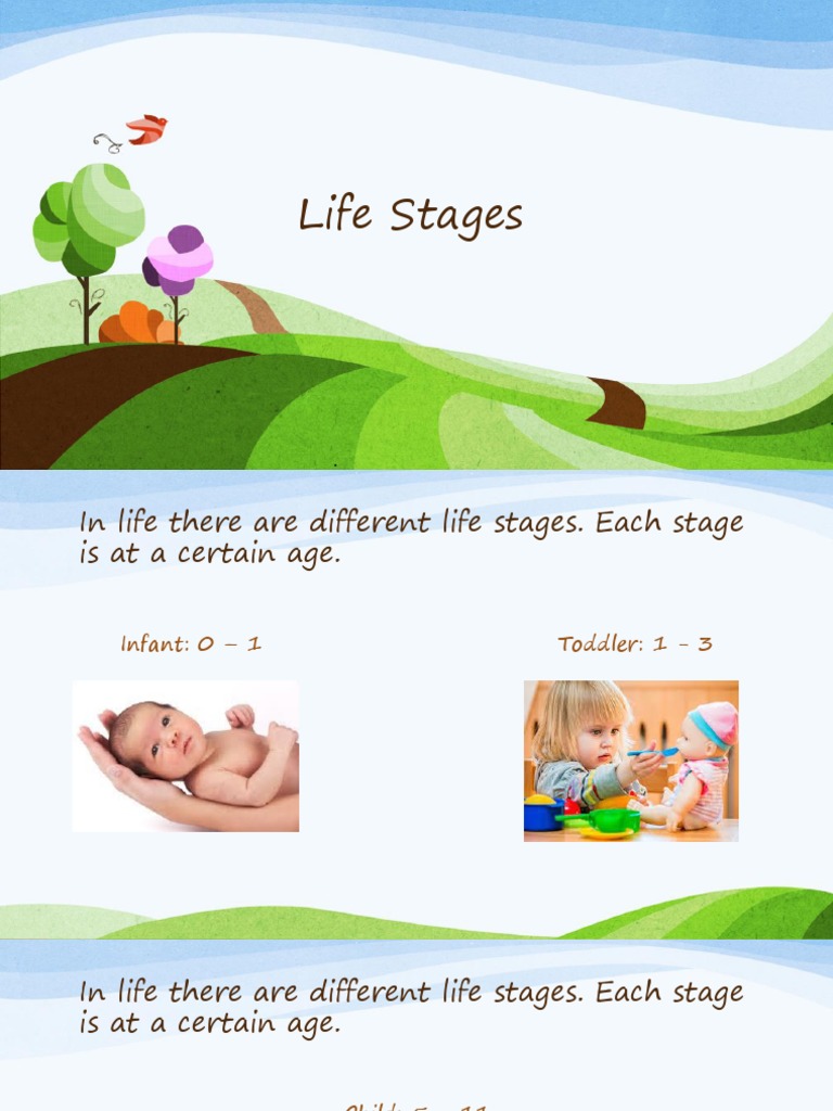 Life Stages Life Events | PDF