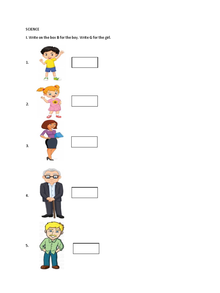 Kindergarten Science Worksheet Activities | PDF