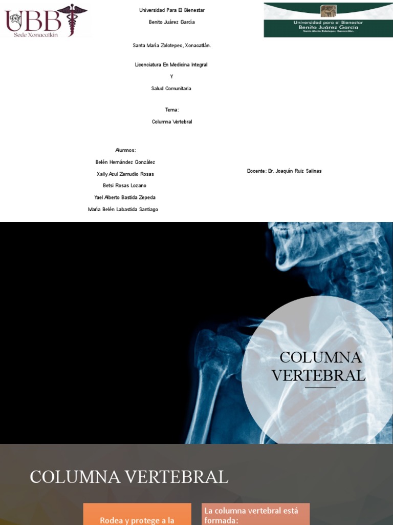 Discos Intervertebrales Ubbj | PDF | Vértebra | La columna vertebral