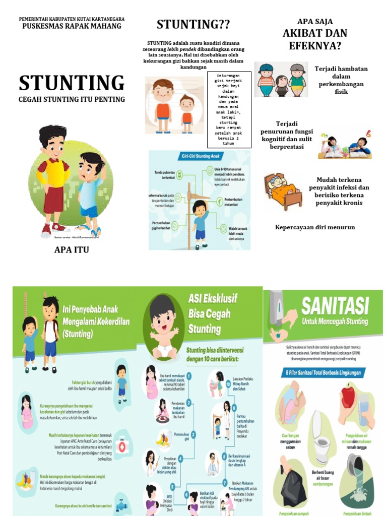 Leaflet-Stunting | PDF