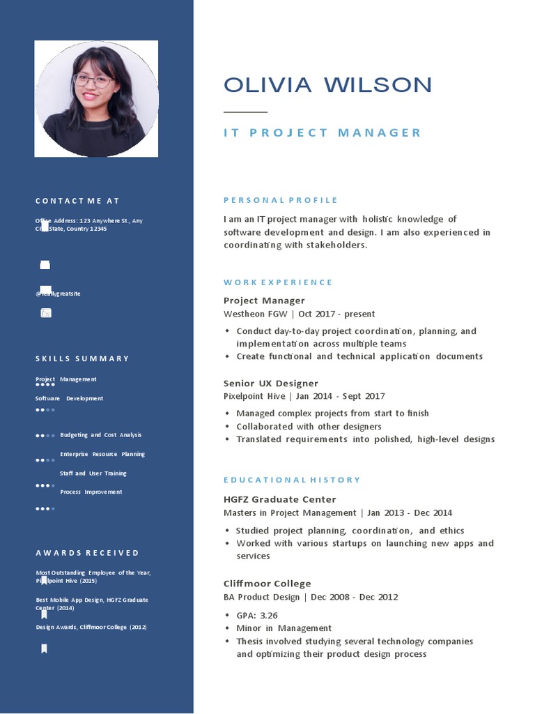 CV Template Solvo | PDF | Project Management | Mobile App