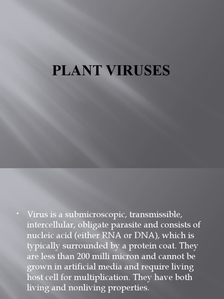 Plant Viruses | PDF | Virus | Plant Virus