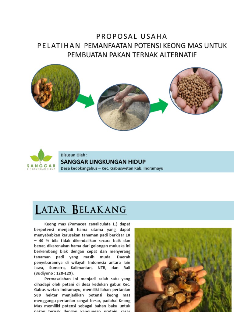 Proposal Usaha Pakan | PDF