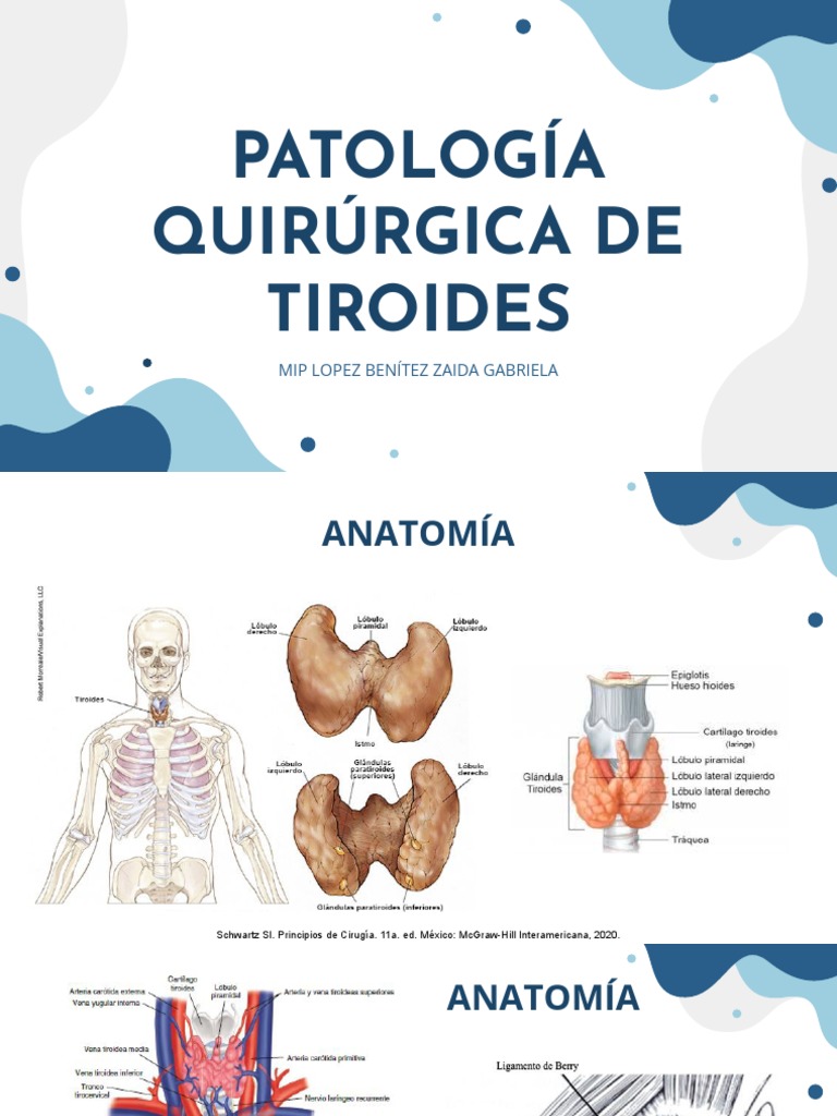 Patología Quirurgica de Tiroides PDF | PDF | Hormona estimulante de la tiroides | Tiroides