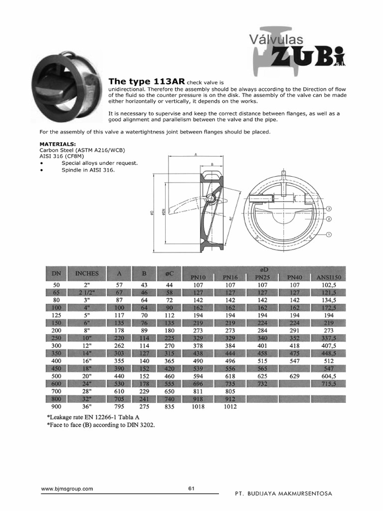 Zubi Check Valve | PDF