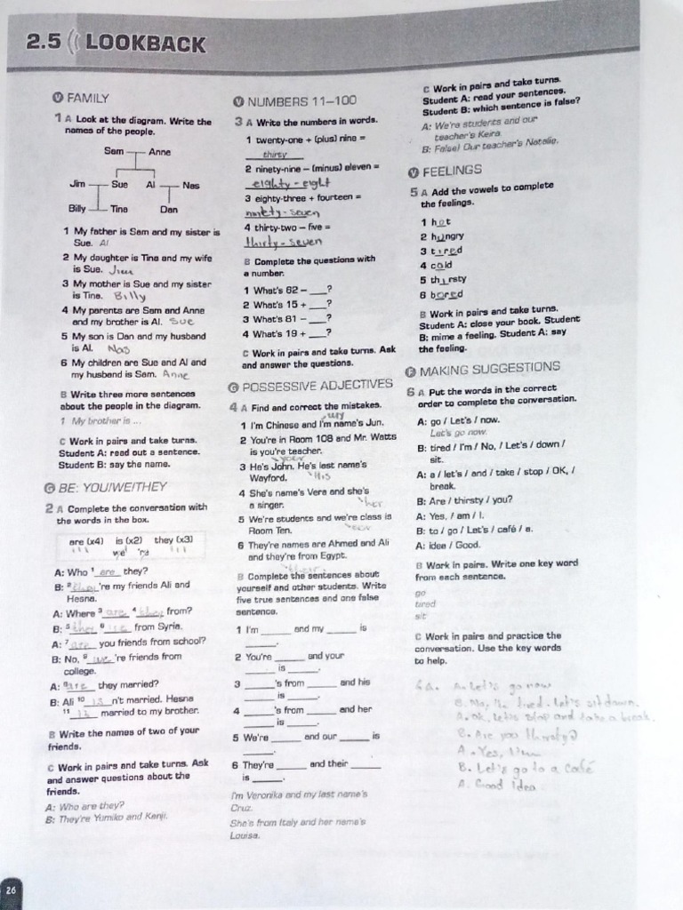 Lookback 2.5 PDF | PDF