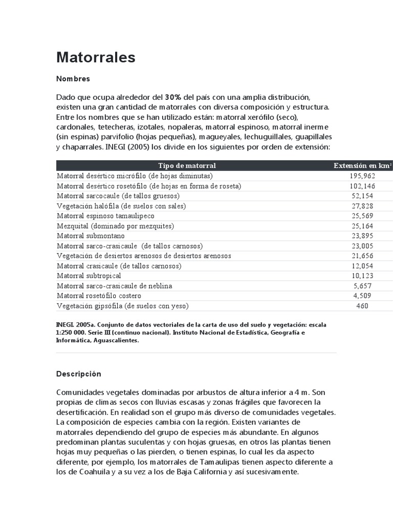 Matorrales | PDF | Desierto | Chihuahua (estado)
