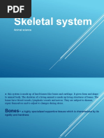 PiG Anatomy | PDF