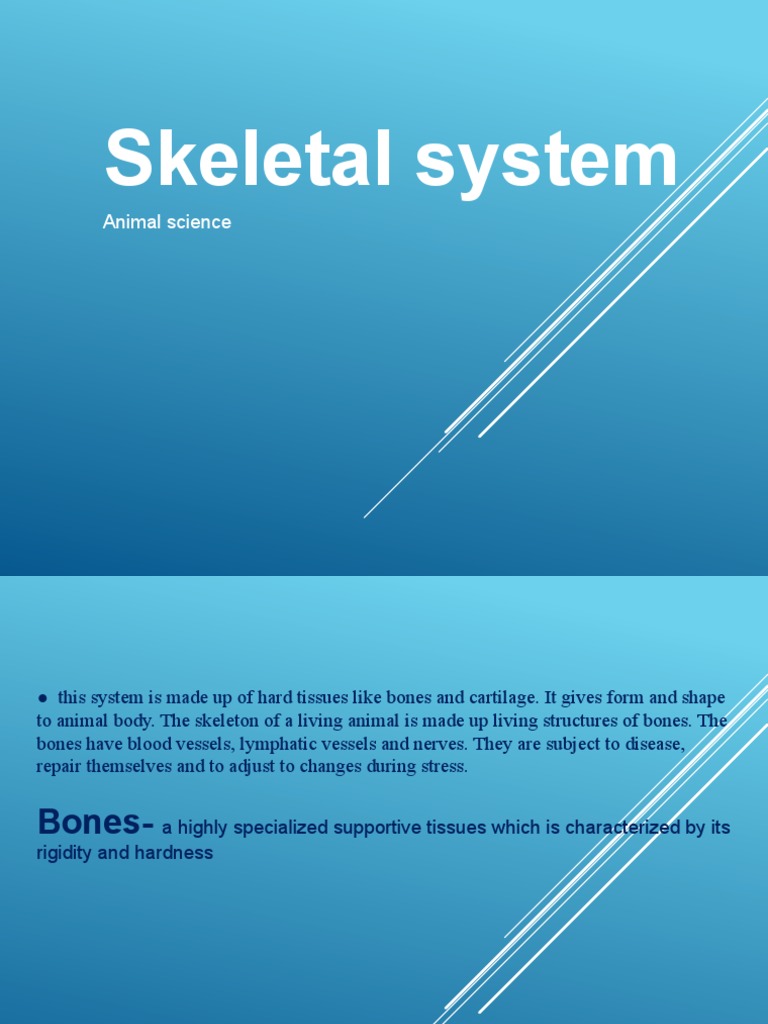Skeletal System Animal Science | PDF | Skeleton | Skull