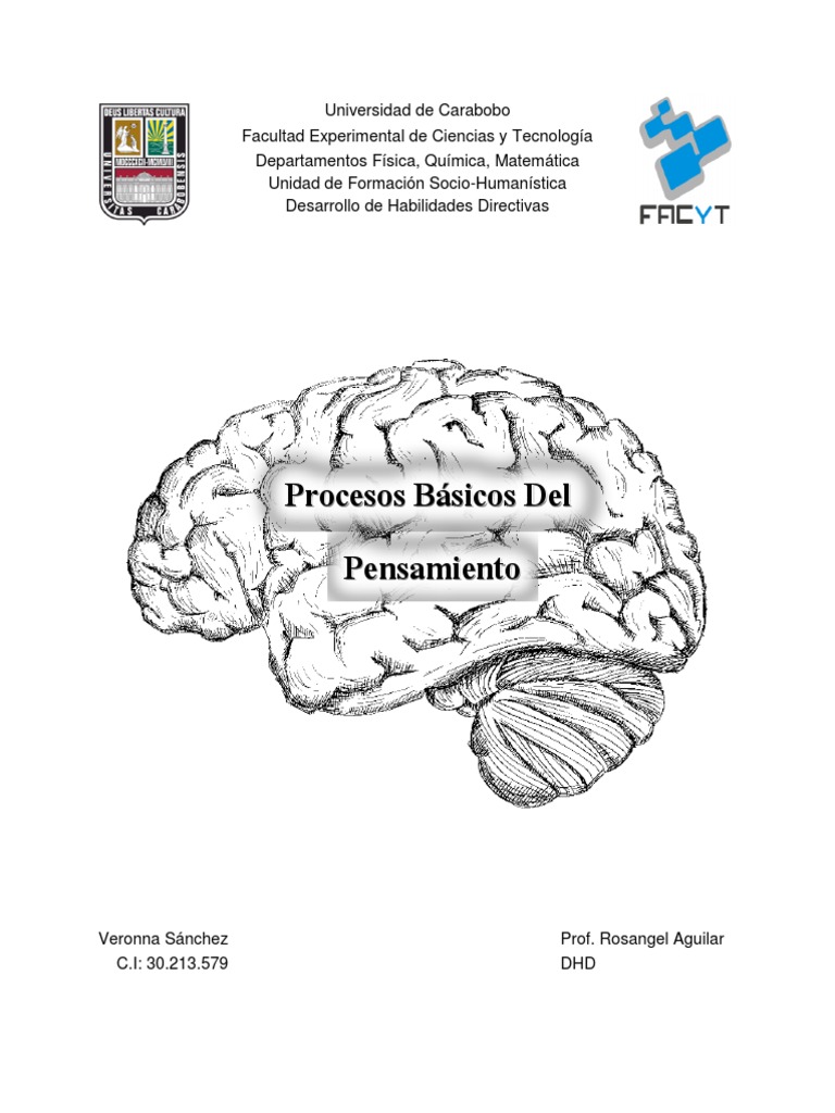 Procesos Del Pensamiento PDF | PDF | Percepción | Pensamiento