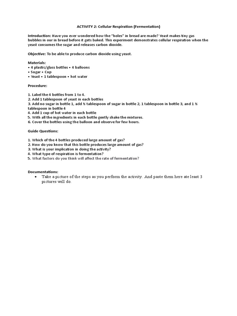 Fermentation Experiment Pdf
