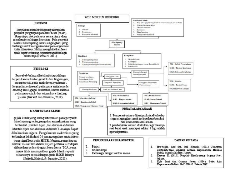 Woc Morbus Hisprung | PDF