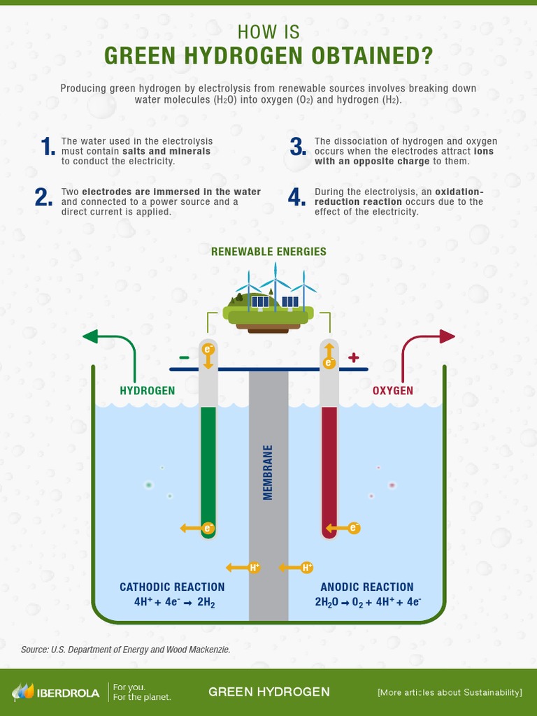 Infographic Green Hydrogen | PDF