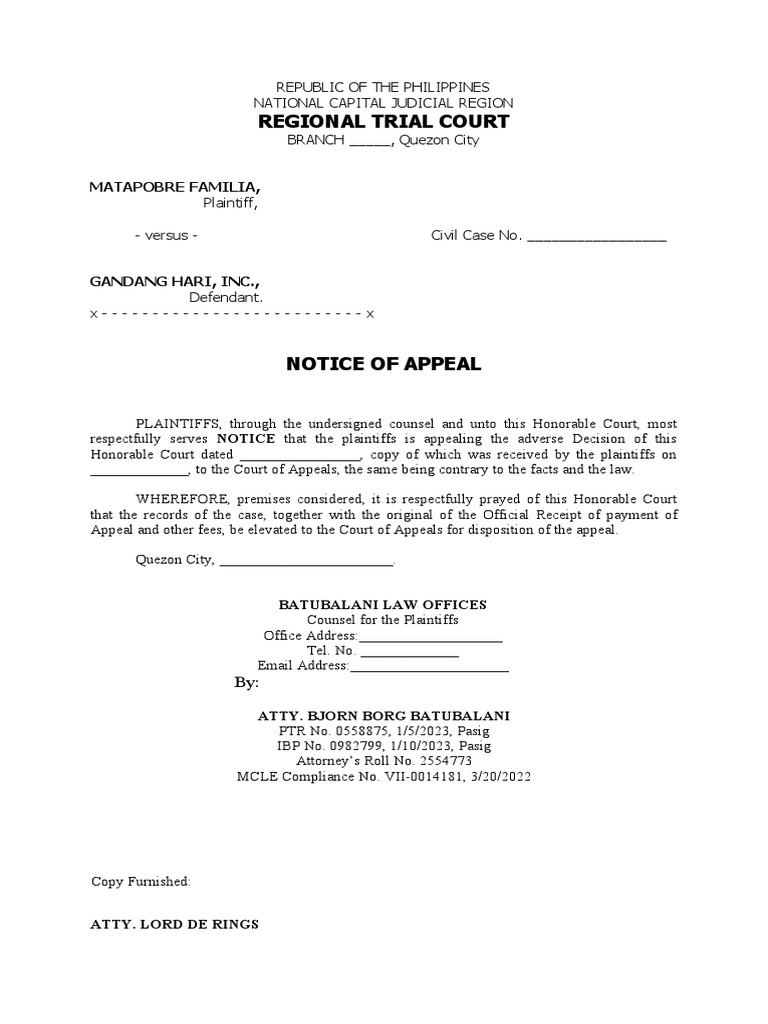 Notice of Appeal - SAMPLE | PDF