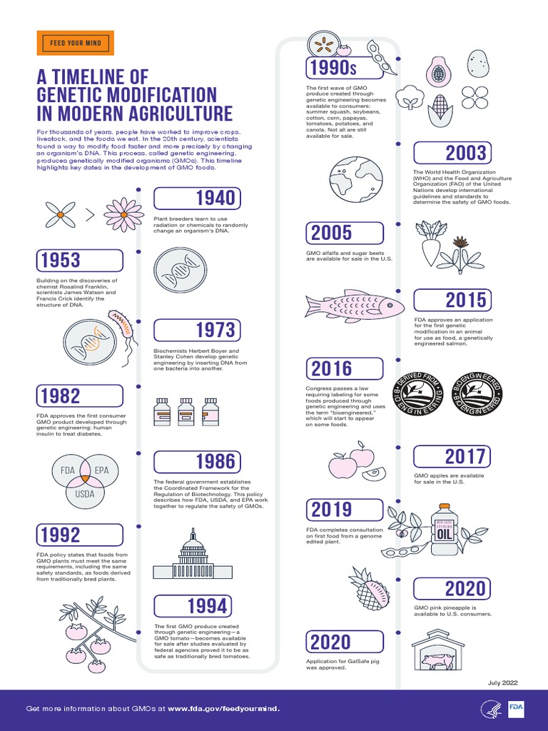 GMO Development Timeline in Agriculture | PDF | Genetically Modified ...