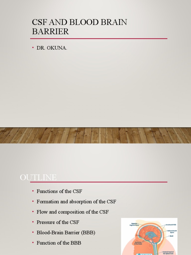 CSF and Blood-Brain Barrier Overview | PDF | Cerebrospinal Fluid ...