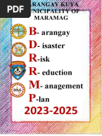 BDRRM Plan 2023-2025 Final | PDF | Hazards