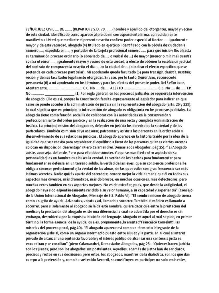 Poder Especial para Proceso Judicial | PDF | Juez | Separación de poderes