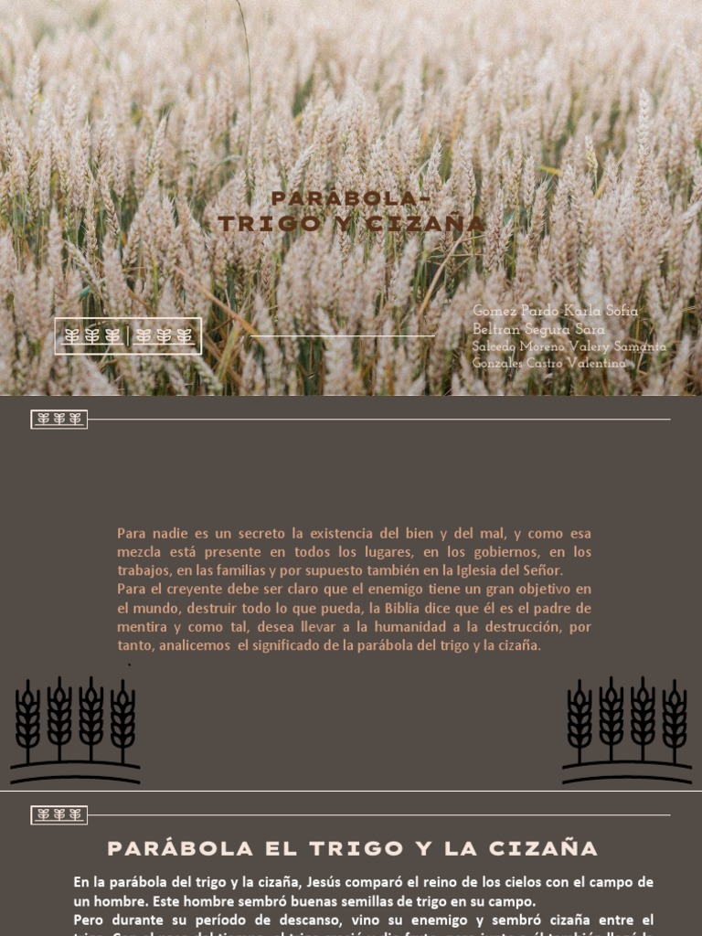 Parábola del Trigo y la Cizaña | PDF | Parábolas de Jesús