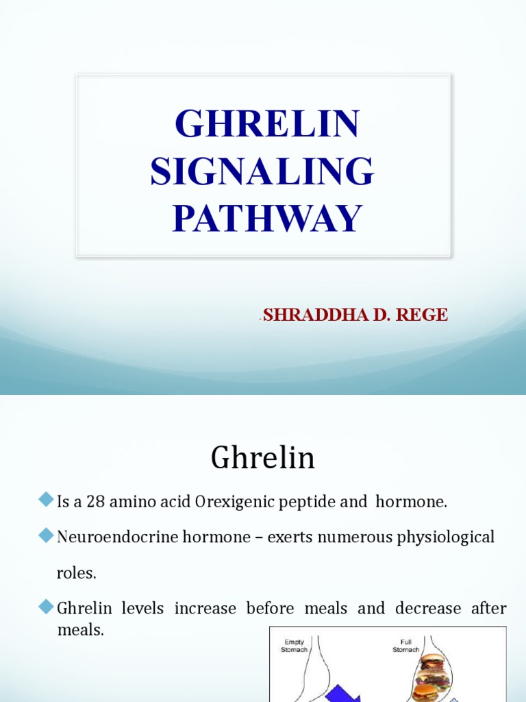 Ghrelin Signaling | Download Free PDF | Cell Signaling | Hormone