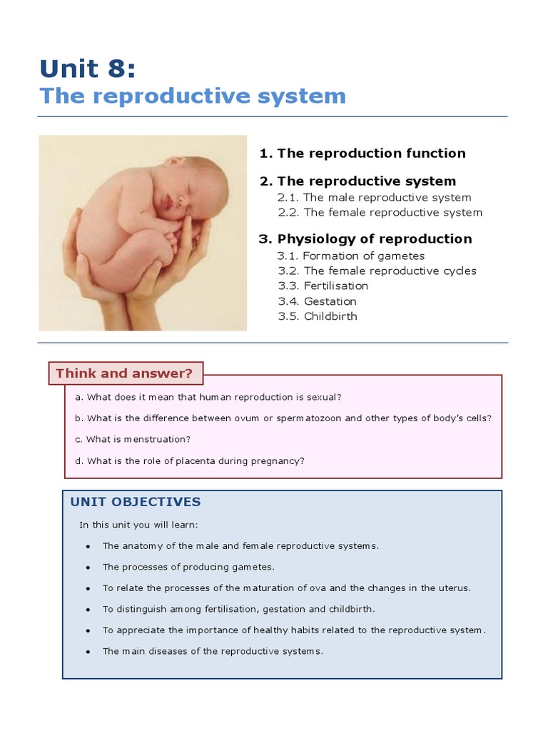 Overview of Human Reproductive System | PDF | Menstrual Cycle ...