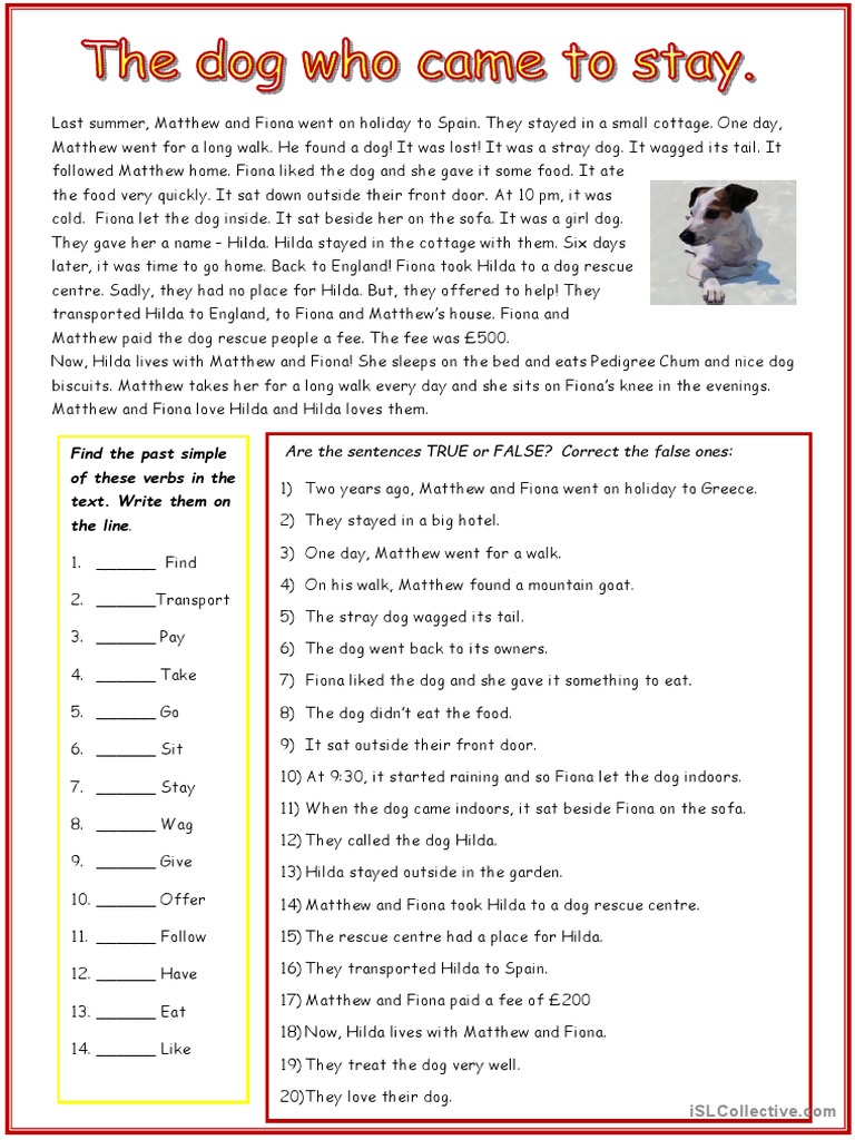 Reading Comprehension | PDF | Linguistic Morphology | Syntax