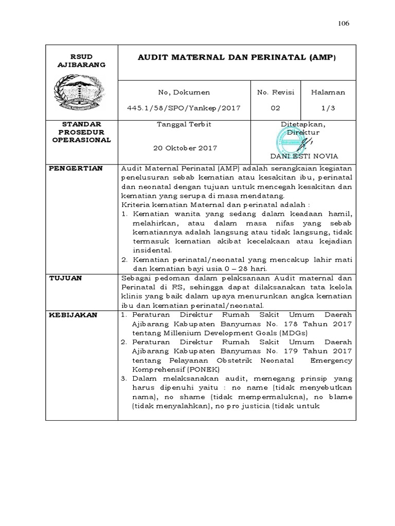 SPO Audit Maternal Dan Perinatal PDF | PDF