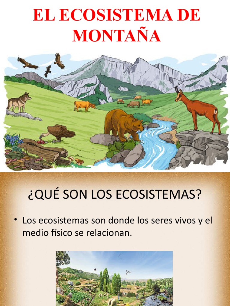 Los Ecosistemas | PDF