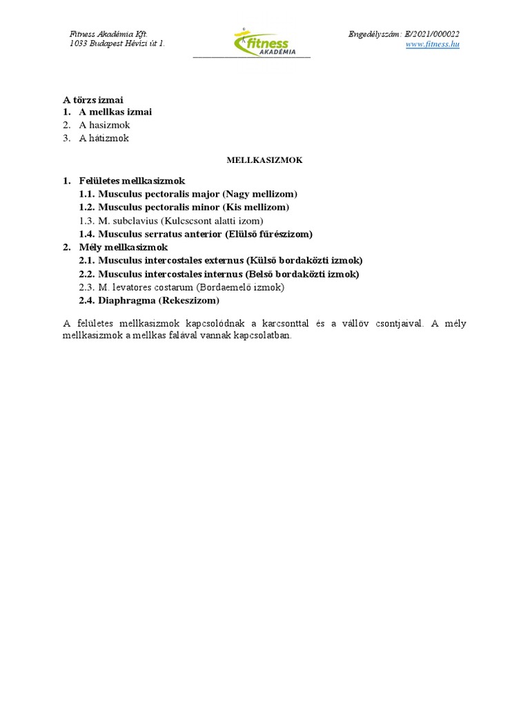 A Törzs Izmai Mellkasizmok | PDF