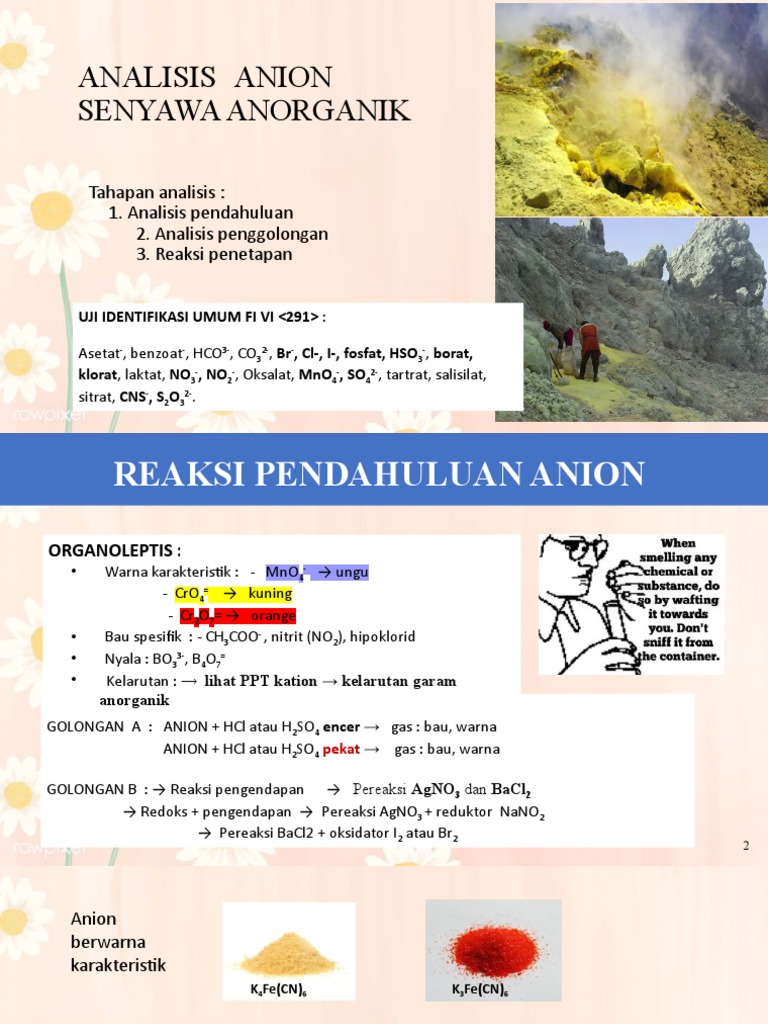 Analisis Anion Senyawa Anorganik | PDF