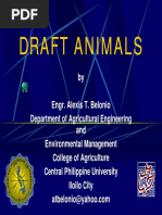 Understanding Draft Animals in Agriculture | PDF | Cattle | Agriculture