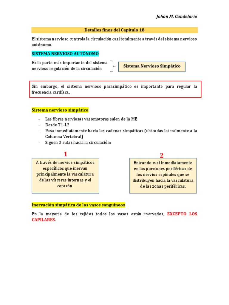 Esquemas "control rápido de la PA" | PDF | Sistema circulatorio | Isquemia