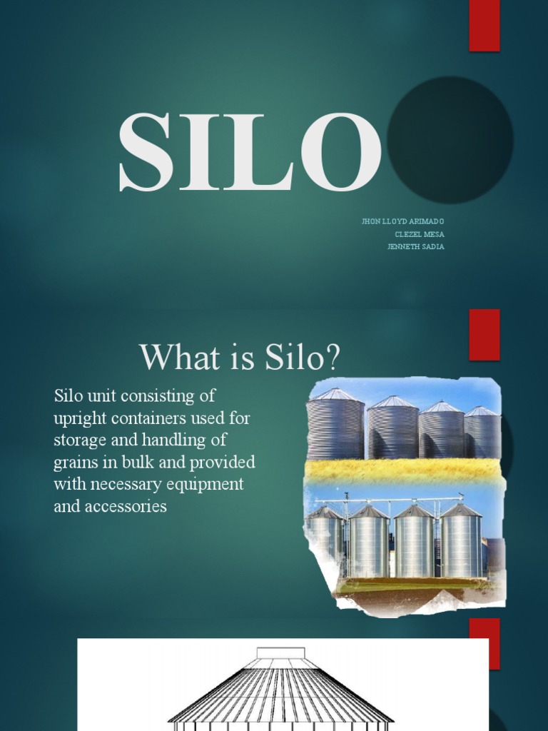 SILO | PDF | Elevator | Belt (Mechanical)