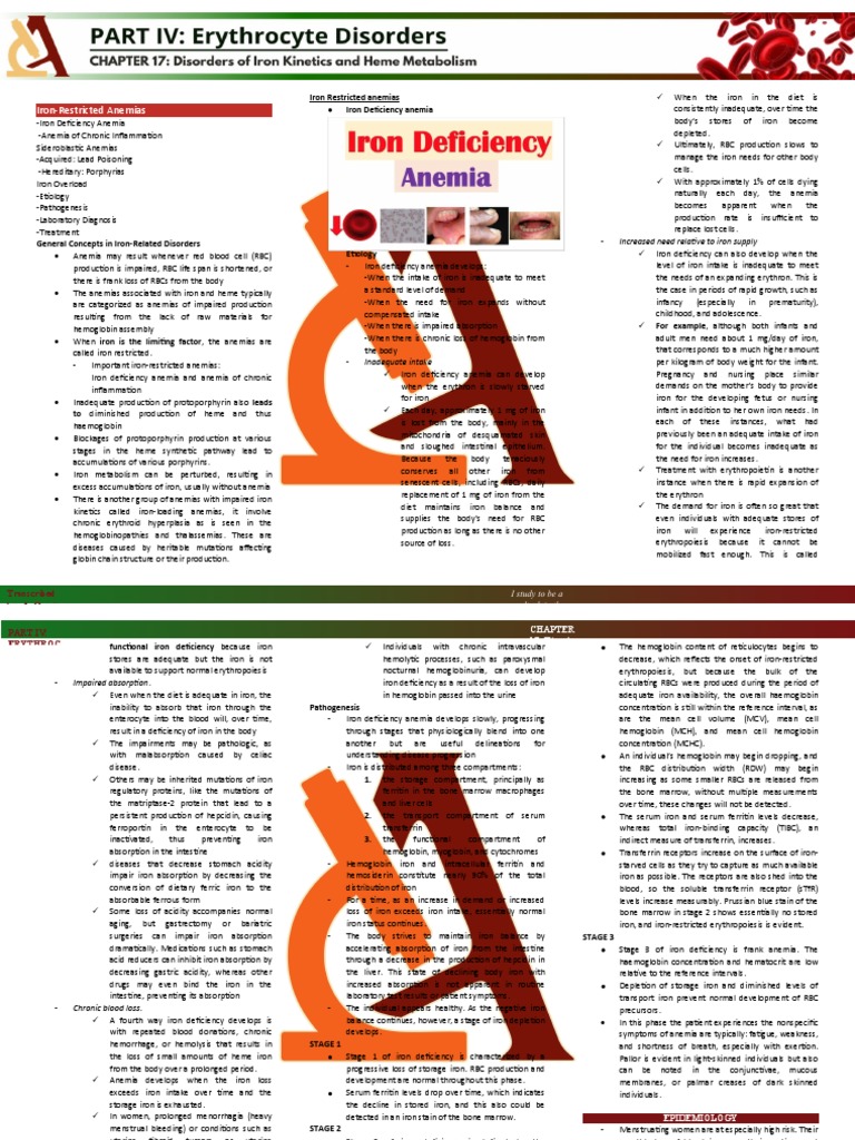 Chapter 17 | PDF | Anemia | Red Blood Cell