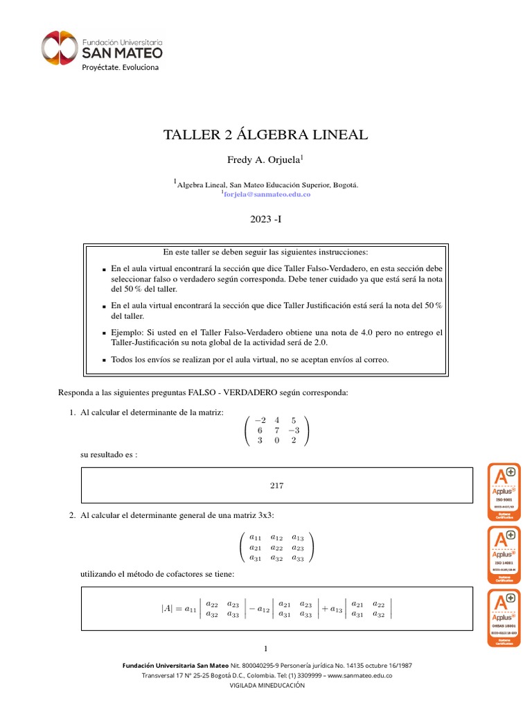 Taller 2 Algebra Lineal | PDF | Determinante | Conceptos matemáticos