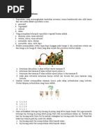 Panduan Membuat Soal di LiveWorksheet | PDF