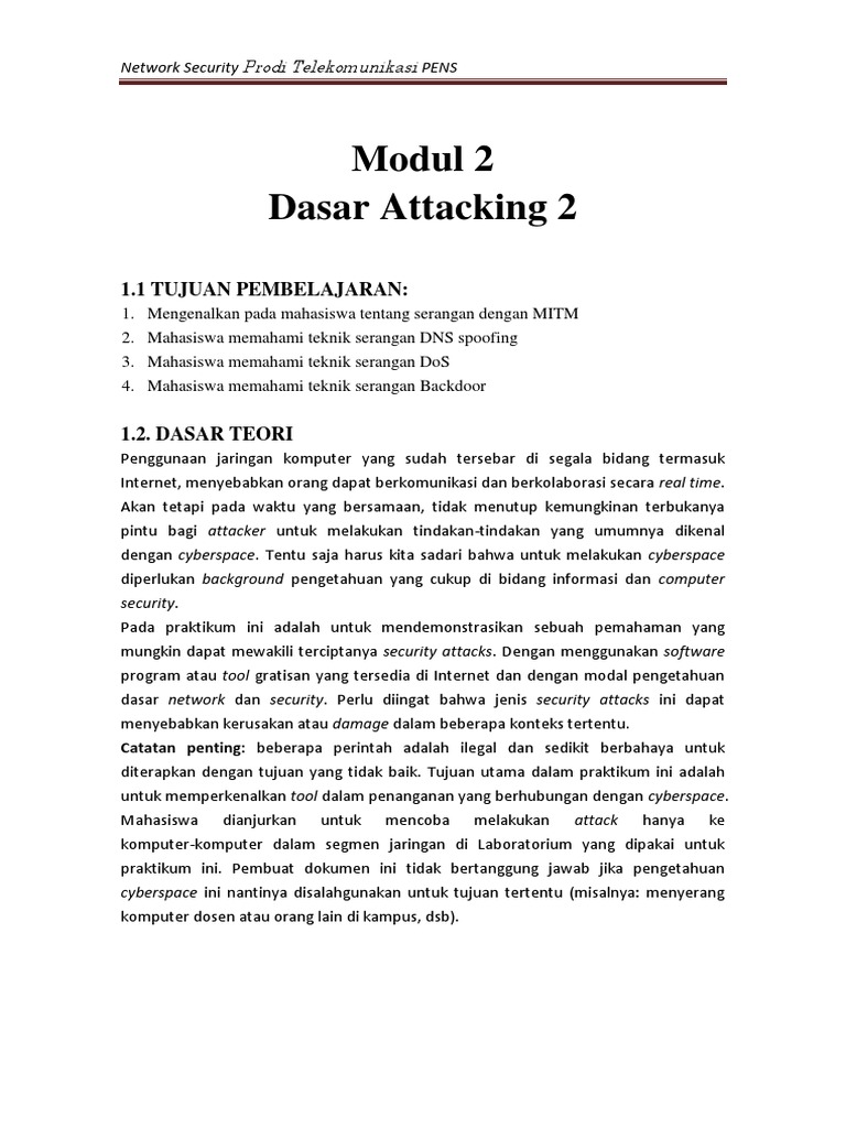 Prakt 2 - NetSec Attacking 2 | PDF