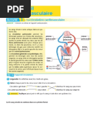 Électrophysiologie du cœur et automatisme | PDF | Contraction du muscle ...