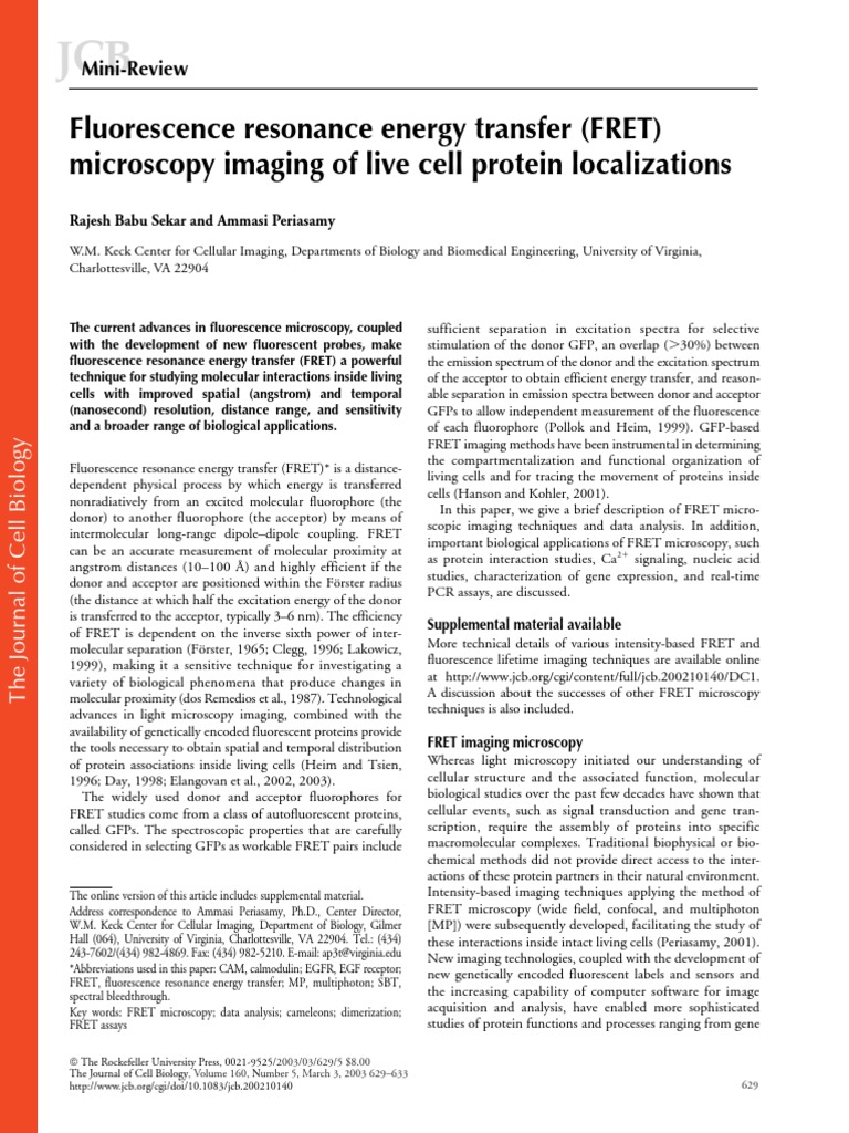 Fluorescence Resonance Energy Transfer (FRET) Microscopy Imaging of Live Cell Protein ...