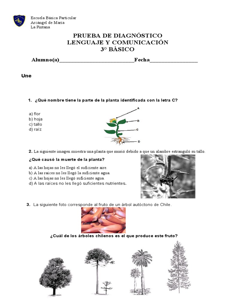 3º Básico C | PDF | Sonido | Tierra