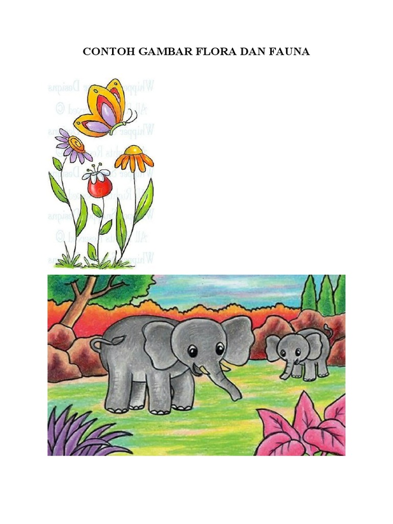 Contoh Gambar Flora Dan Fauna | PDF