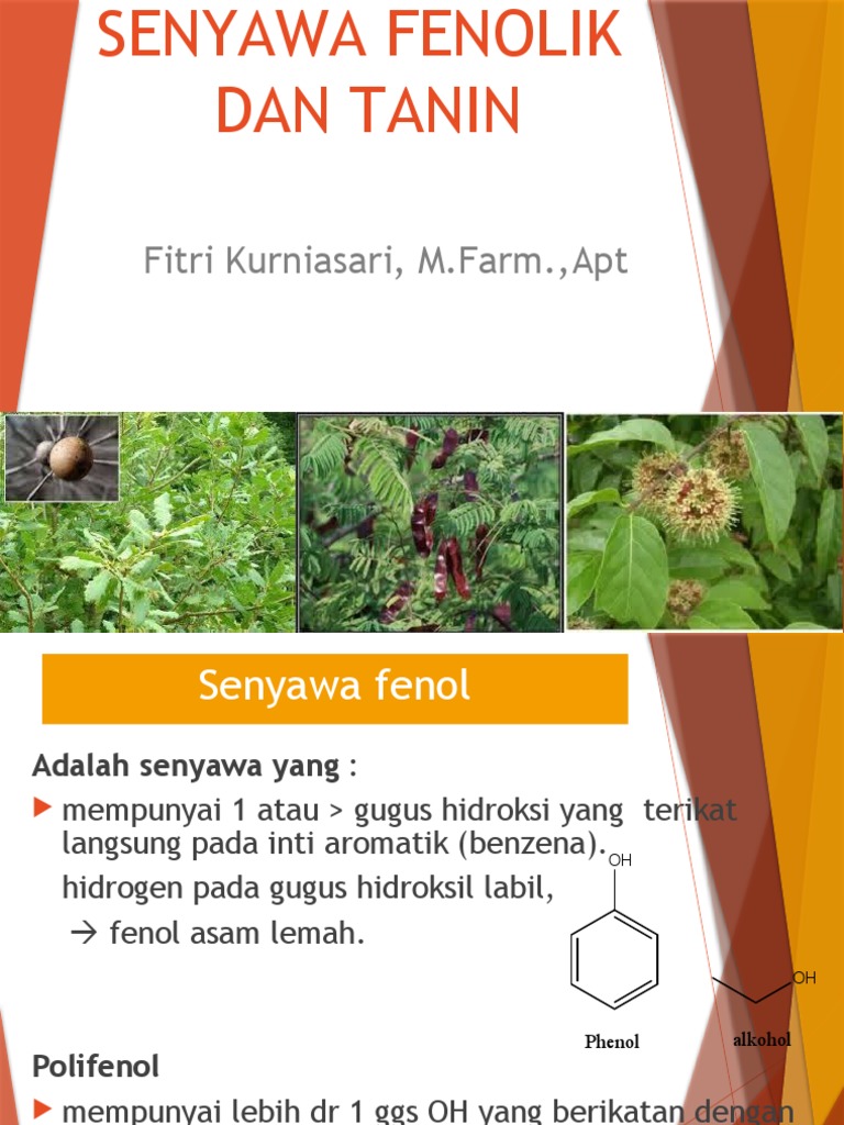 Klasifikasi Senyawa Fenolik dan Tanin | PDF