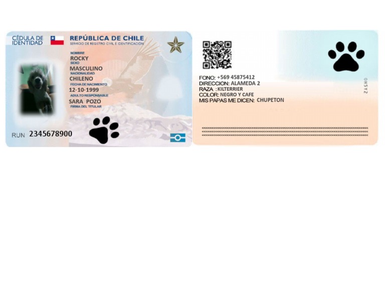 Cedula Identidad Mascotas Editable | PDF