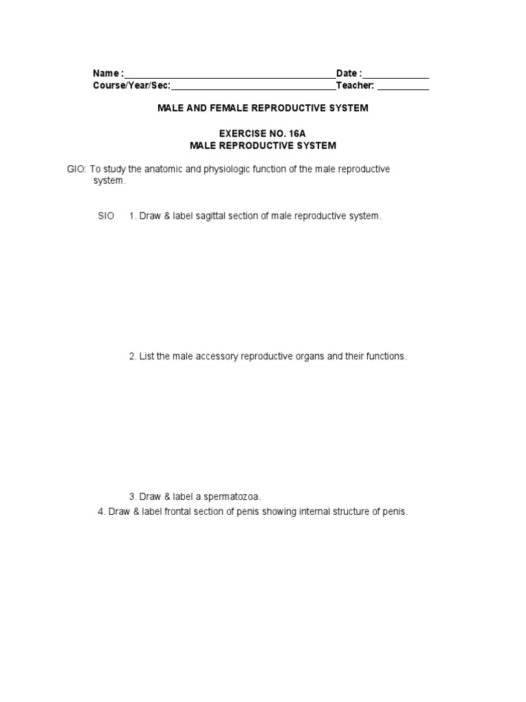 WEEK 17 LABORATORY EXERCISE The Reproductive System | PDF