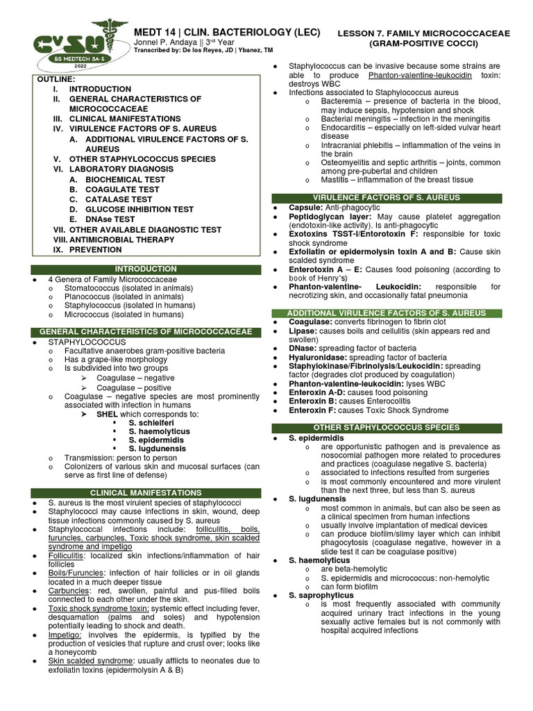 Overview of Micrococcaceae Family | PDF | Staphylococcus ...