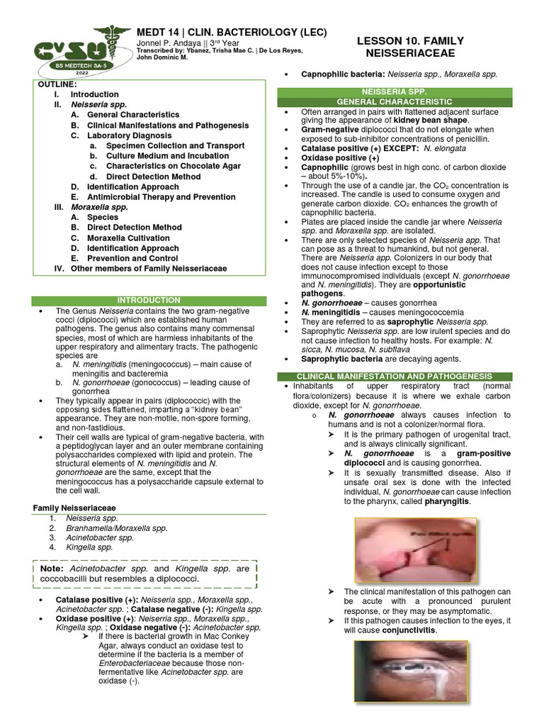 10.2-FAMILY-NEISSERIACEAE.pdf | PDF | Infection | Microbiology