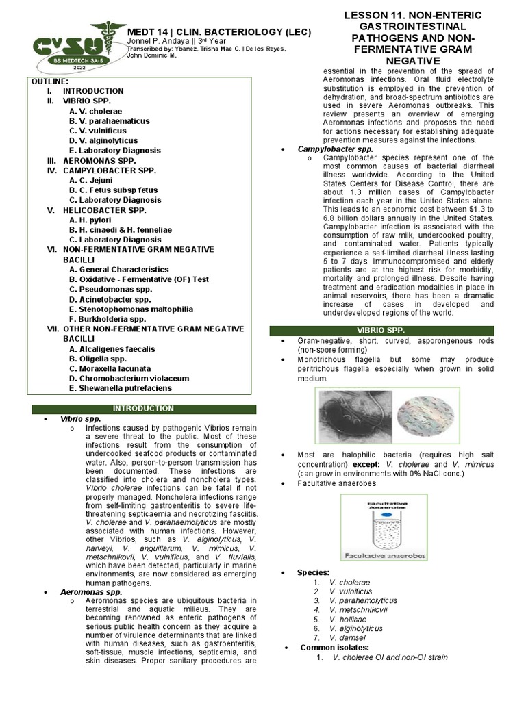 11 Non Enteric Gi Pathogens Non Fermentative Gram Negative PDF | PDF ...