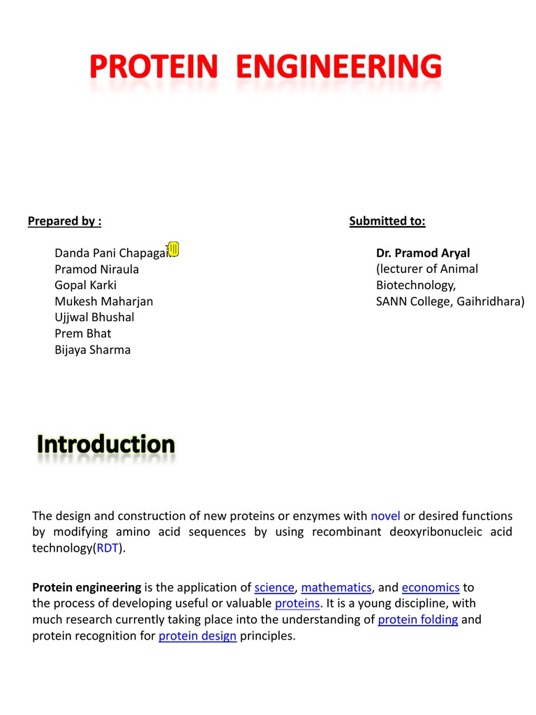 Protein Engineering | Download Free PDF | Proteins | Natural Products