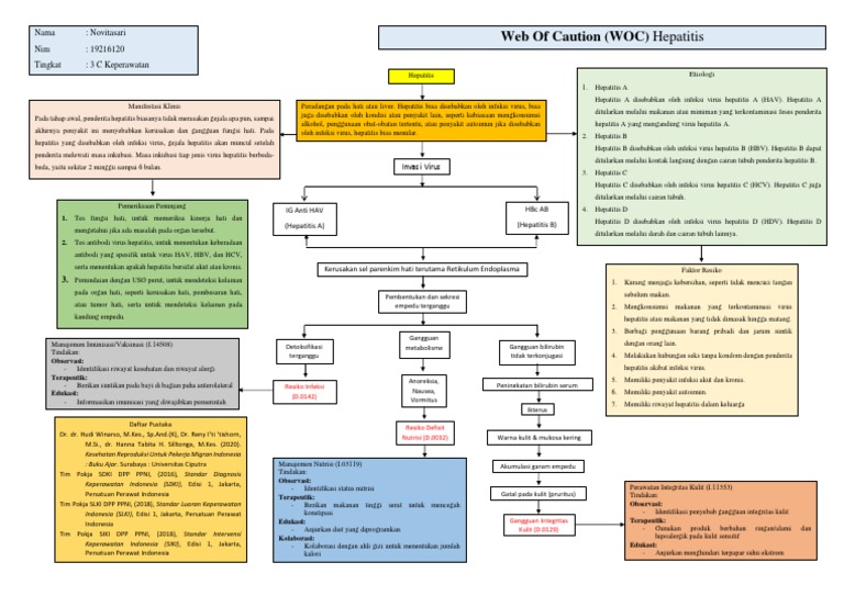 WOC Hepatitis - Novitasari | PDF